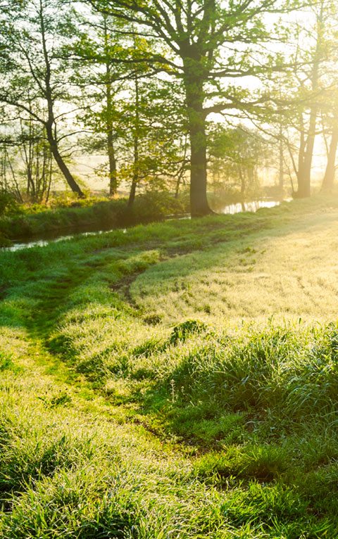 Houses for sale in Red Deer's Serene Community | Live in Evergreen